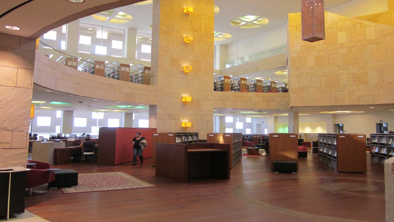 University College Of London In Qatar